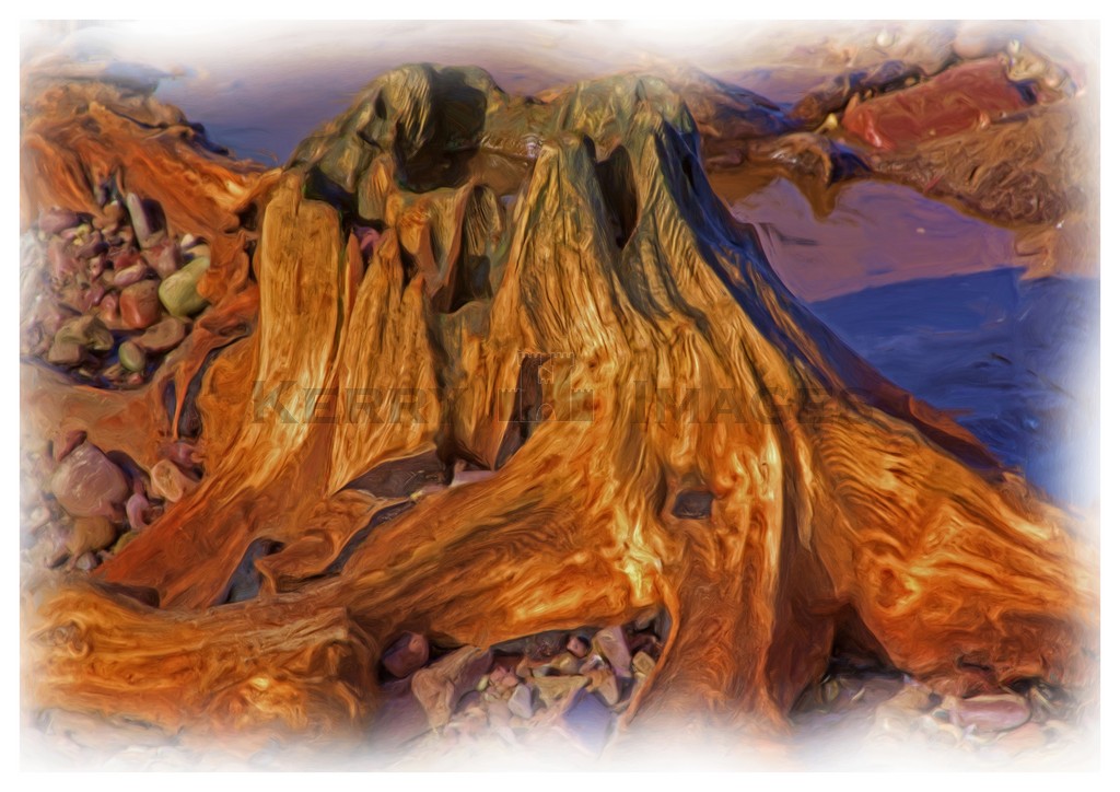 Reenroe beach Bog Oak - Kerry Images